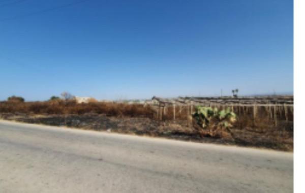Terreno agricolo in vendita a Noto