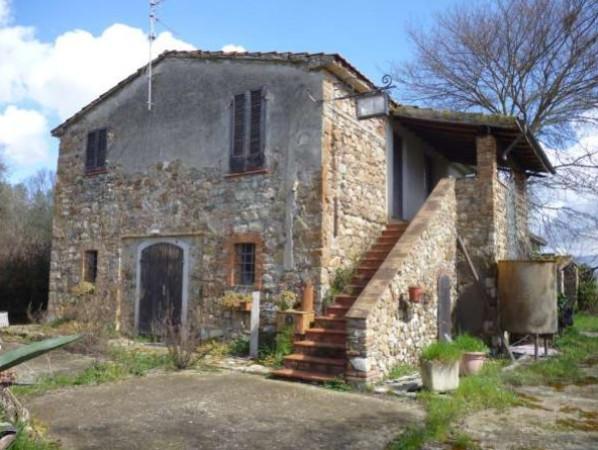 Azienda agricola in vendita a Campagnatico