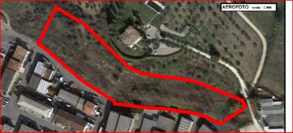 Terreno agricolo in vendita a Barberino Tavarnelle