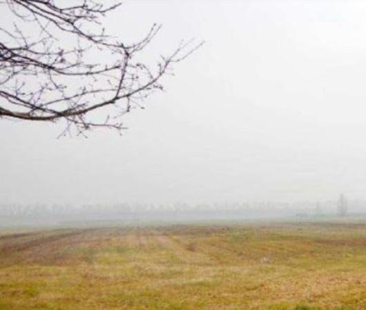 Terreno edificabile residenziale in vendita a Malalbergo