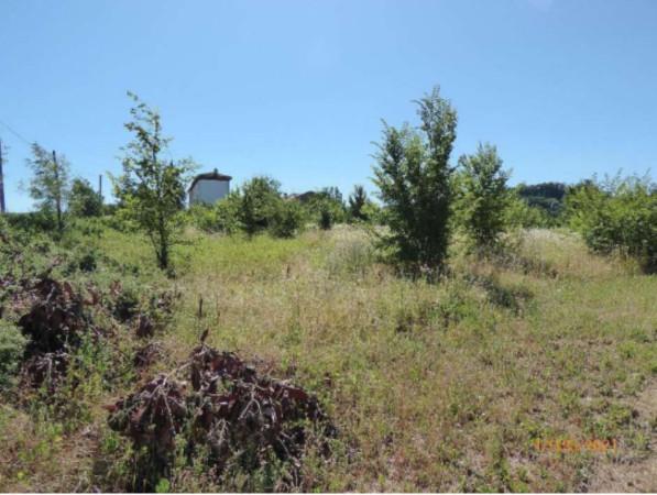 Terreno edificabile residenziale in vendita a Volpedo