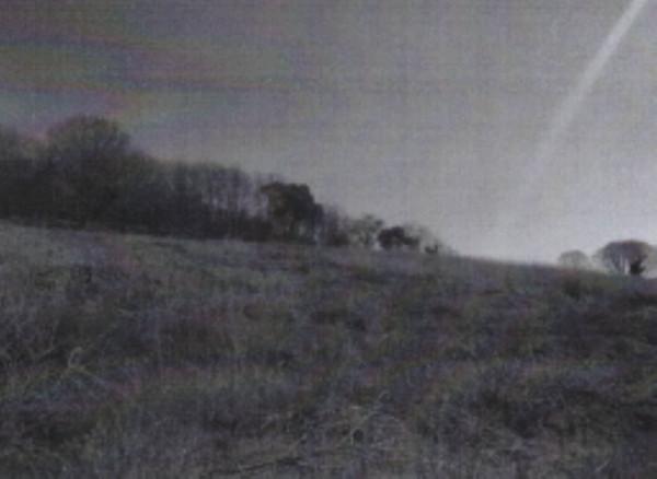 Terreno agricolo in vendita a Longare