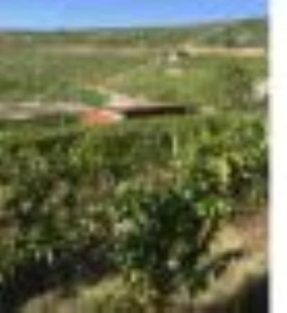 Terreno agricolo in vendita a Castel Rocchero