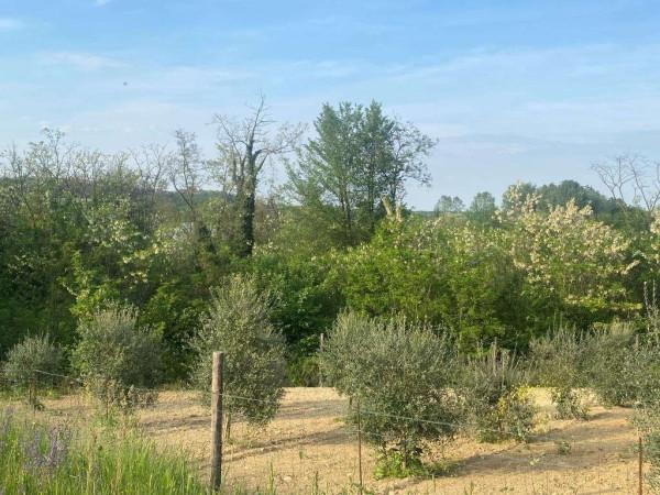 Appartamento in vendita a Cassine