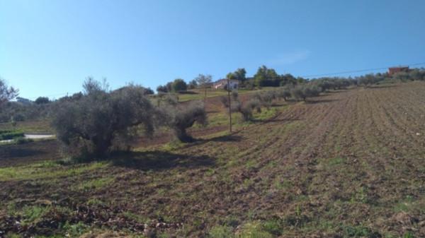 Terreno agricolo in vendita a Teramo