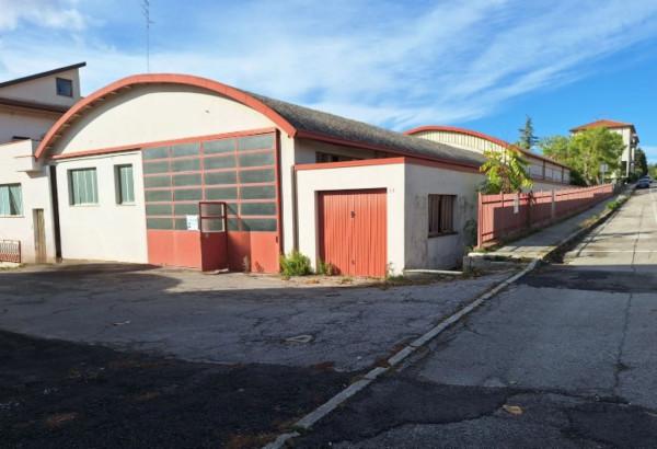 Laboratorio in vendita a Camerano