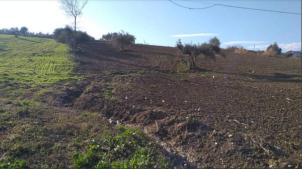 Terreno agricolo in vendita a Castiglione Messer Raimondo