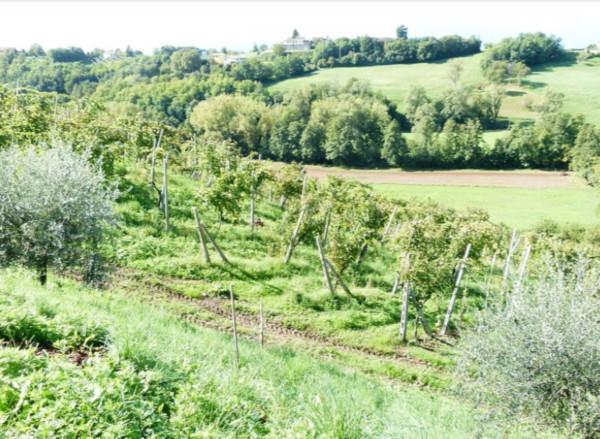 Appartamento in vendita a Fara Vicentino