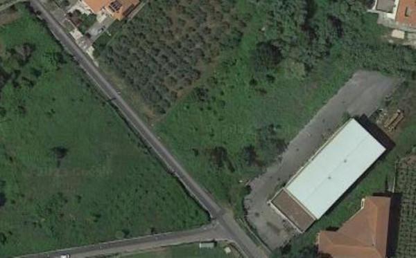 Terreno agricolo in vendita a Telese