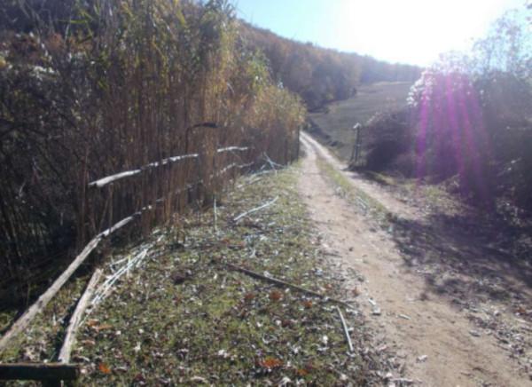 Terreno agricolo in vendita a San Venanzo