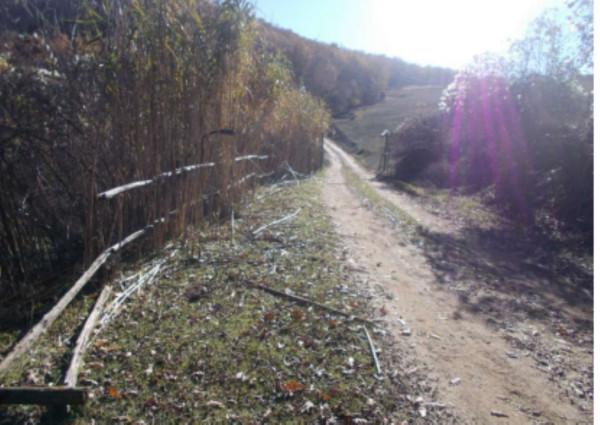 Villa a schiera in vendita a San Venanzo