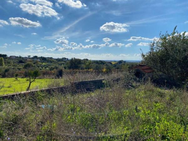 Terreno agricolo in vendita a Albano Laziale