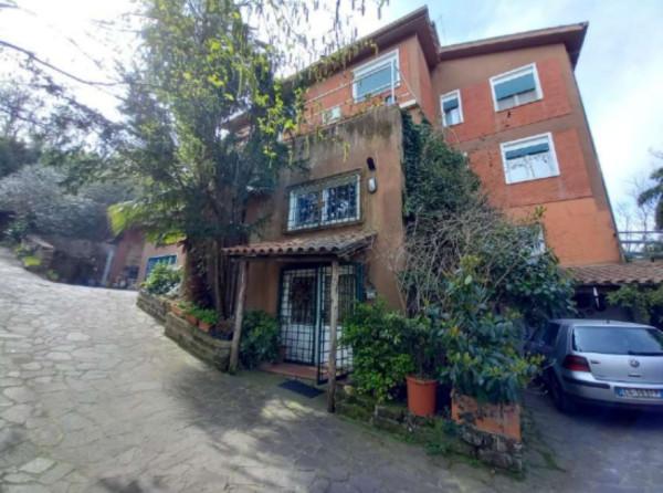 Villa bifamiliare in vendita a Morlupo