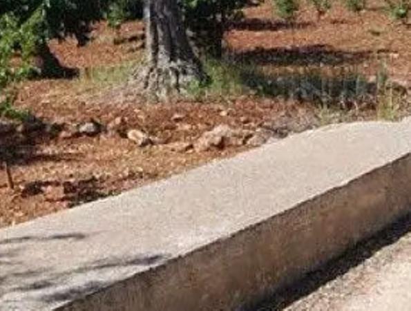 Terreno agricolo in vendita a Monopoli