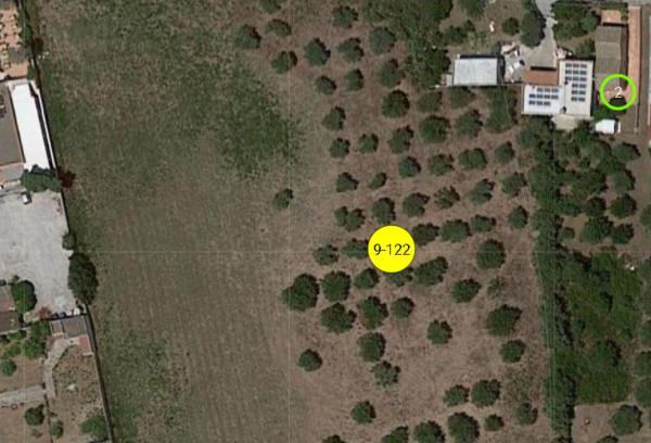 Terreno agricolo in vendita a Valderice