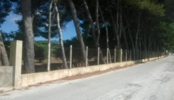 Appartamento in vendita a Valderice