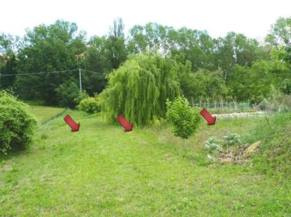 Terreno edificabile residenziale in vendita a Castelbellino