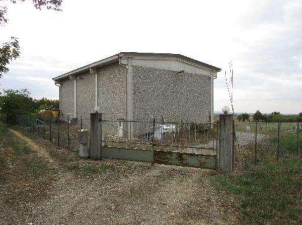 Capannone in vendita a Tortona