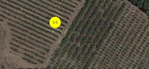 Terreno agricolo in vendita a Delia