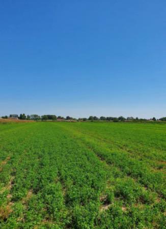Terreno agricolo in vendita a Mantova