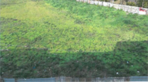 Terreno edificabile residenziale in vendita a Maddaloni