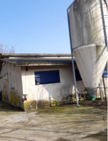 Appartamento in vendita a Cittadella