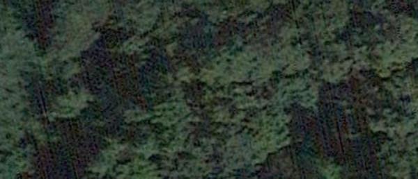 Terratetto unifamiliare in vendita a Uzzano