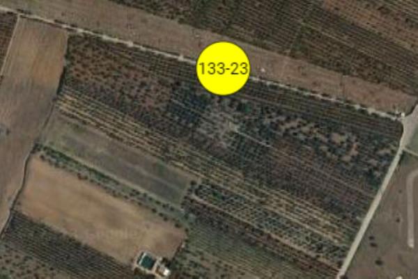 Terreno agricolo in vendita a Bitonto