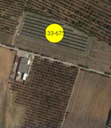 Terreno agricolo in vendita a Bitonto