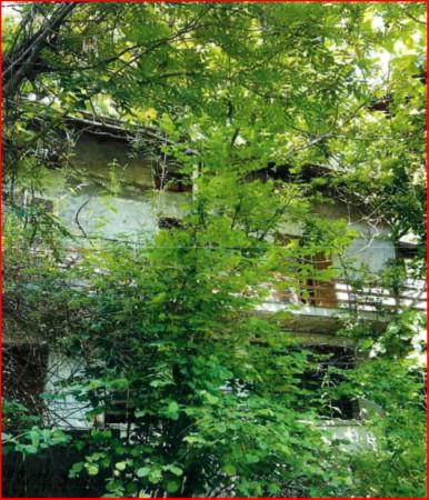 Appartamento in vendita a Pogno