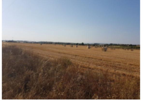 Terreno agricolo in vendita a Portopalo Di Capo Passero