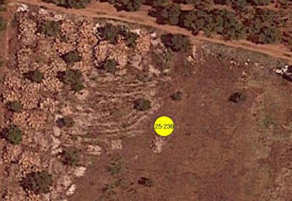 Terreno agricolo in vendita a Palo Del Colle