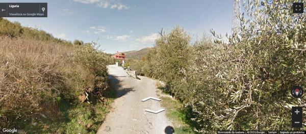 Terreno agricolo in vendita a Imperia