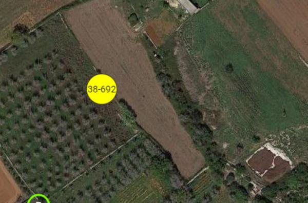 Terreno agricolo in vendita a Tricase
