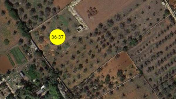 Terreno agricolo in vendita a Tricase