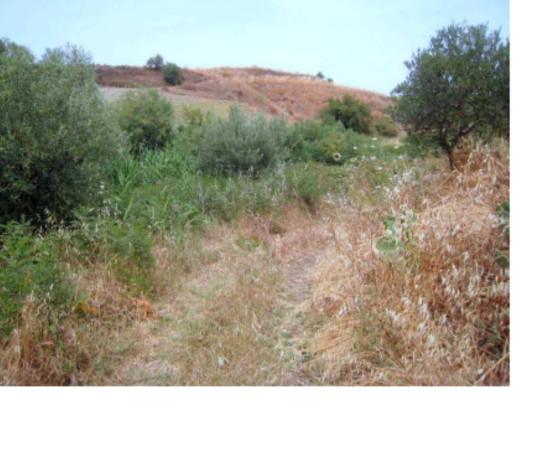 Terreno agricolo in vendita a Termini Imerese