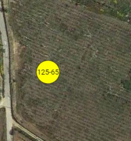Terreno agricolo in vendita a Mazzarino