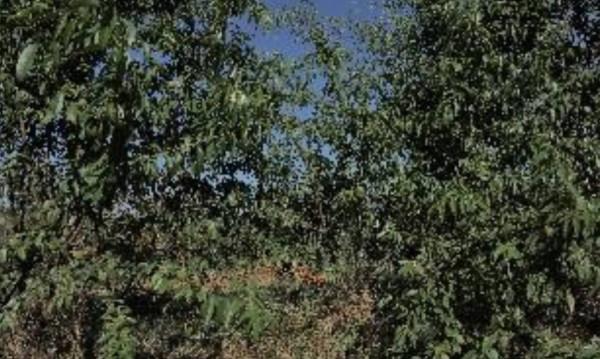 Appartamento in vendita a Teano