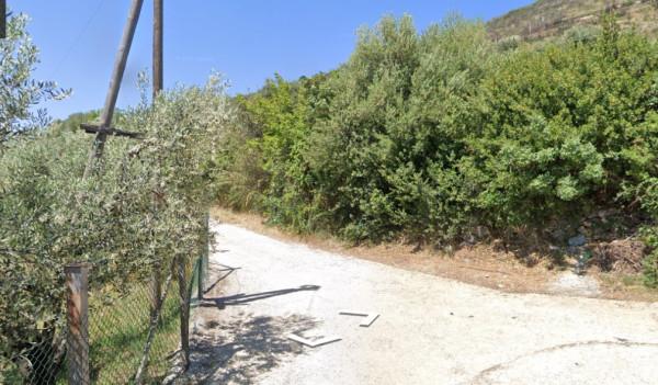 Terreno agricolo in vendita a Tivoli