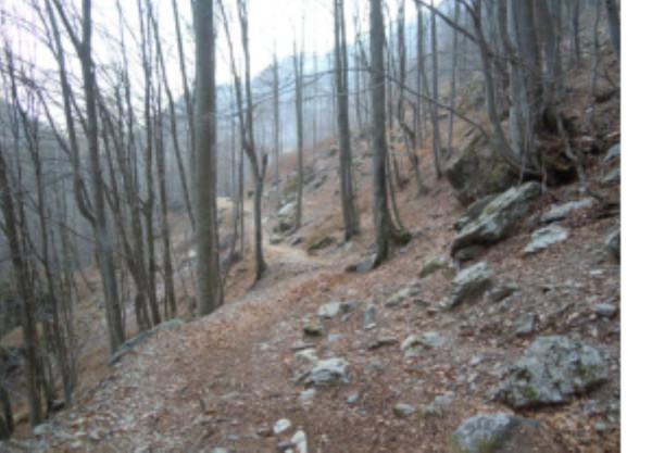 Terreno agricolo in vendita a Valbondione