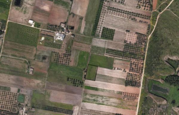 Terreno agricolo in vendita a Trapani