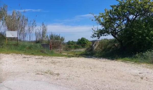 Terreno agricolo in vendita a Miglianico