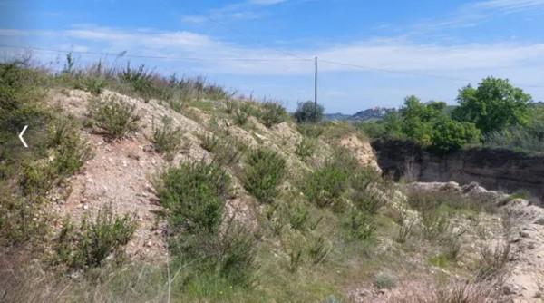 Terreno agricolo in vendita a Ari