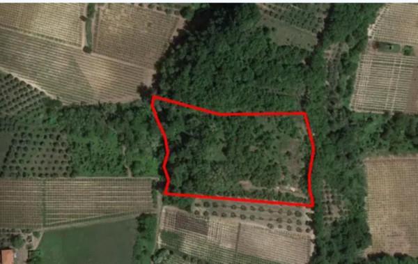 Terreno agricolo in vendita a Ari