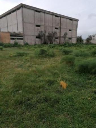 Azienda agricola in vendita a Isola Di Capo Rizzuto