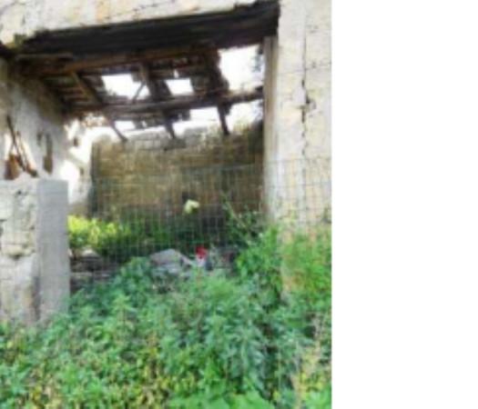 Terreno agricolo in vendita a Napoli