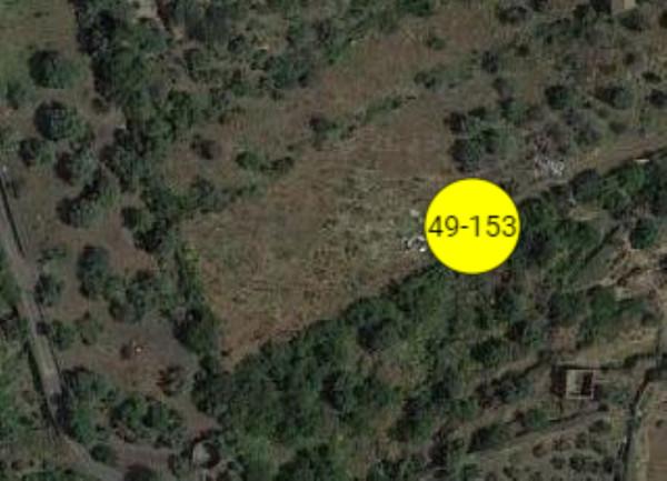 Terreno agricolo in vendita a Belpasso