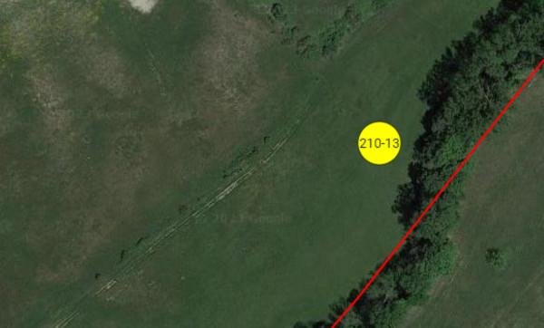 Terreno agricolo in vendita a Asciano