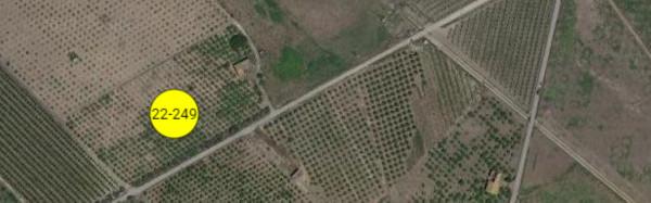 Terreno agricolo in vendita a Lentini