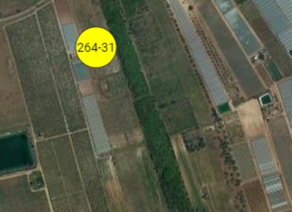 Terreno agricolo in vendita a Caltagirone